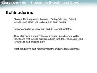 life history of invertebrate animals.ppt