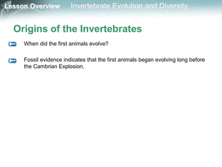 life history of invertebrate animals.ppt