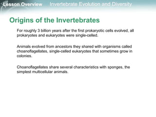 life history of invertebrate animals.ppt