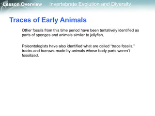life history of invertebrate animals.ppt