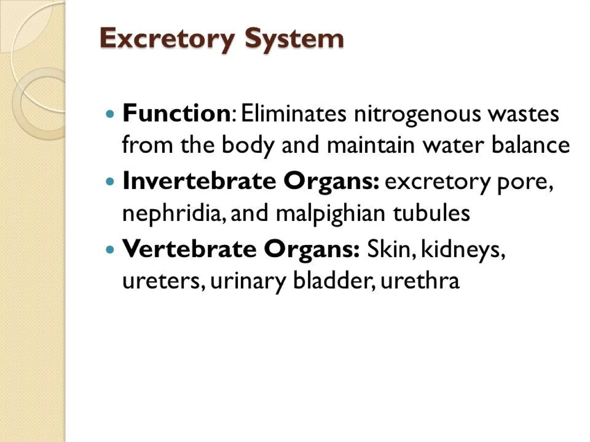 Invertebrate and Vertebrate Excretory System.pptx