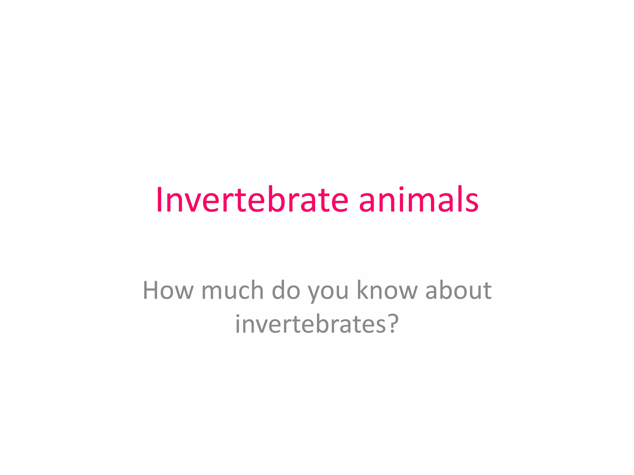 Invertebrate animals | PPTX
