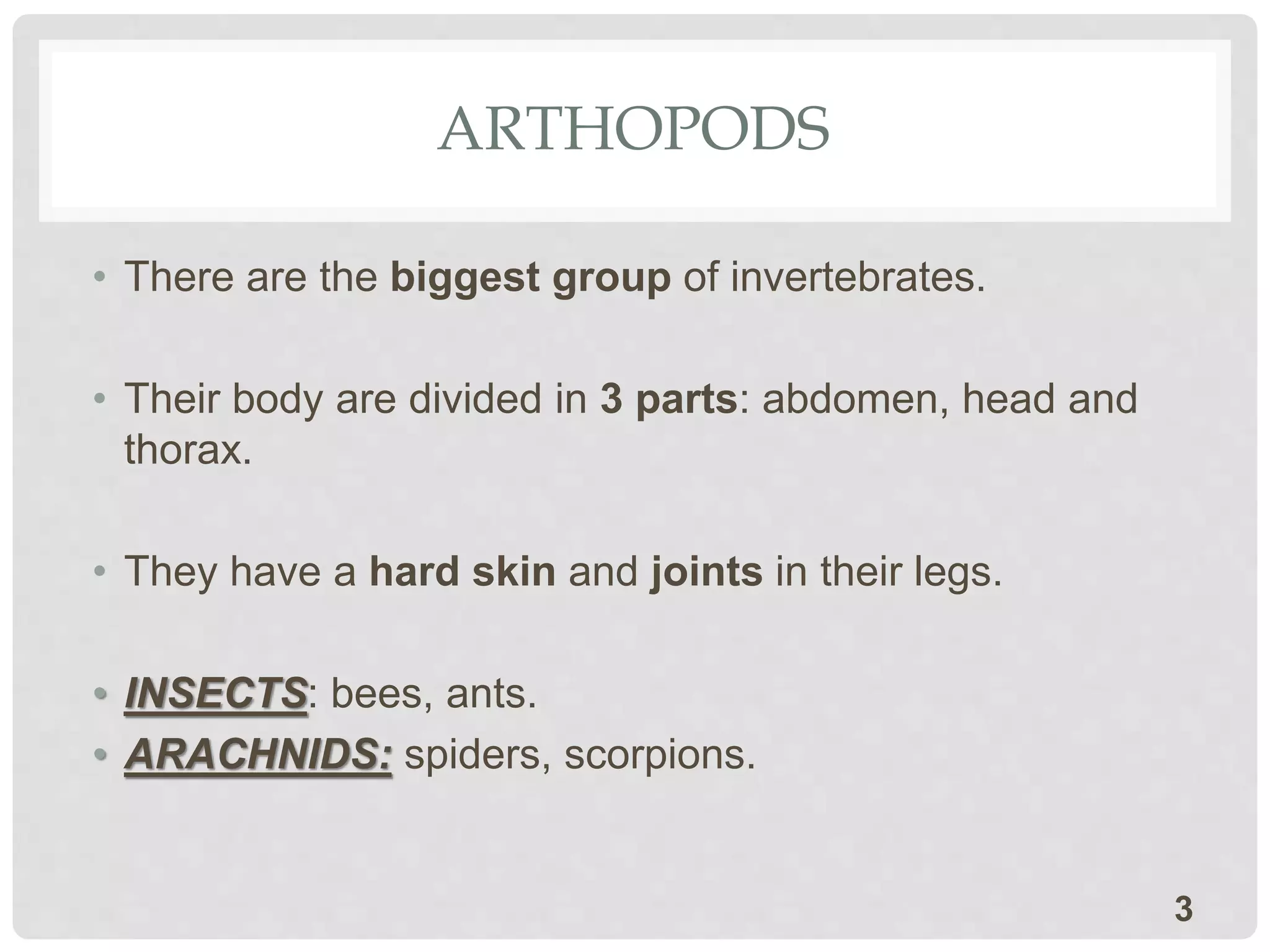 Invertebrate animals- Natural Science - 3rd primary | PPTX