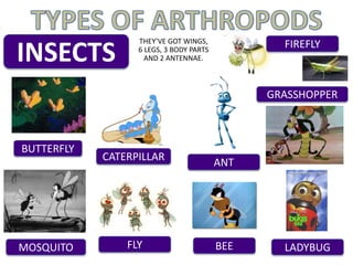 Invertebrate animals disney | PPTX