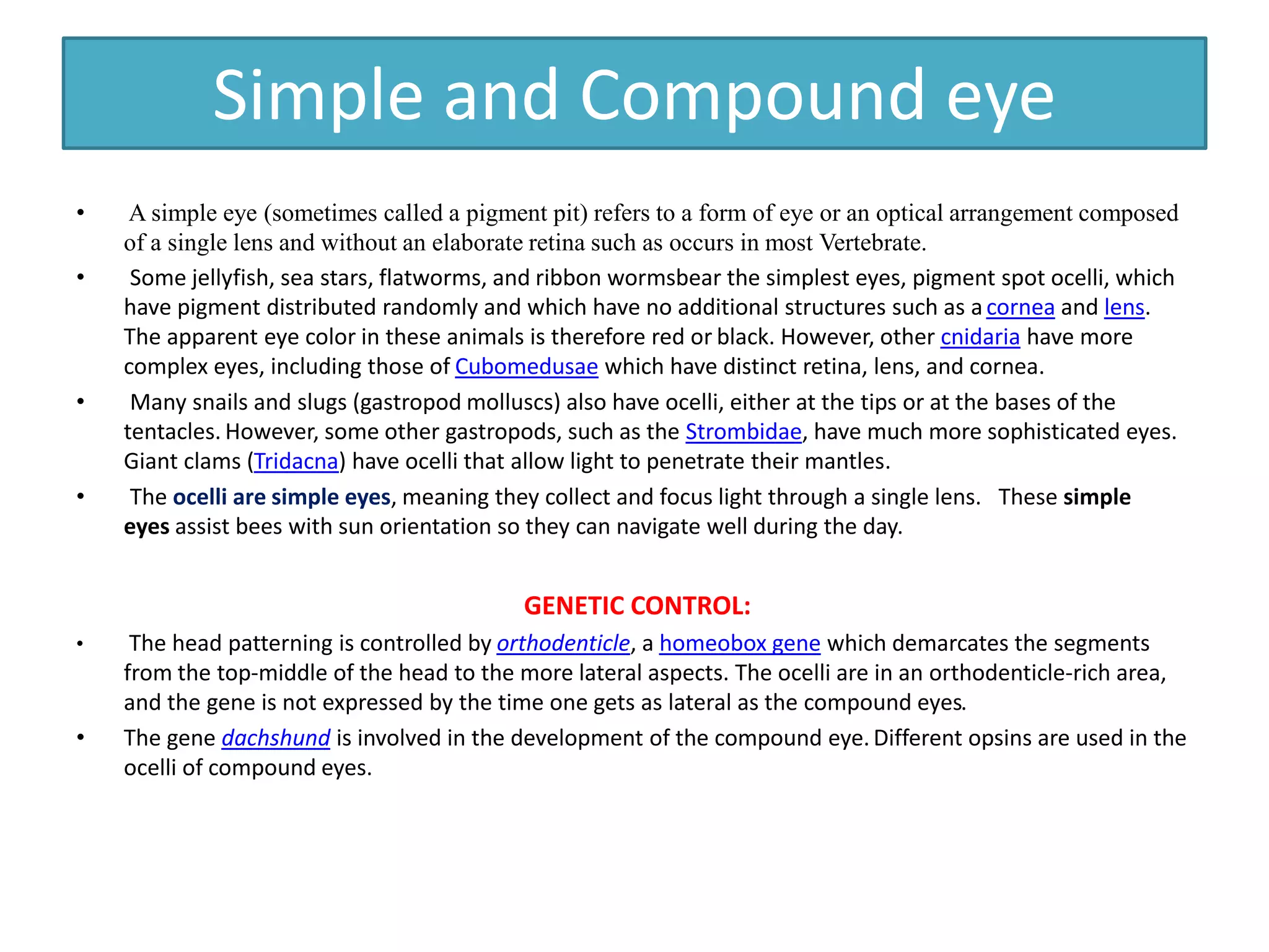 Invertebrate eye | PDF