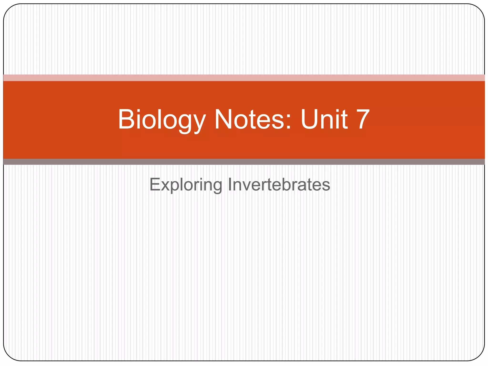 Invertebrate notes | PPTX