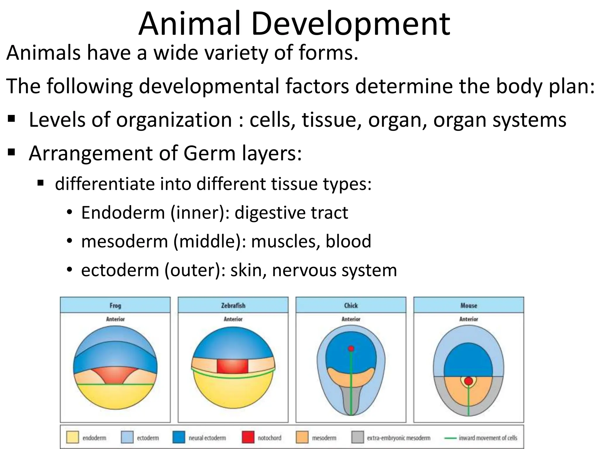 History of Marine Invertebrate Notes.ppt