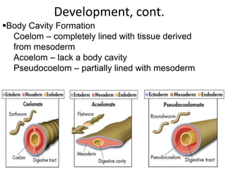 History of Marine Invertebrate Notes.ppt