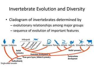 History of Marine Invertebrate Notes.ppt