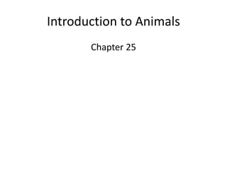 History of Marine Invertebrate Notes.ppt