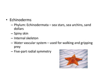 History of Marine Invertebrate Notes.ppt