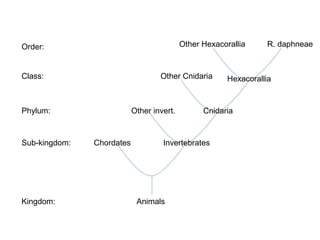 History of Marine Invertebrate Notes.ppt