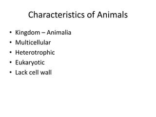 History of Marine Invertebrate Notes.ppt