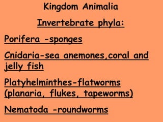 Invertebrate PPT-PAP.ppt | Biological Sciences | Science