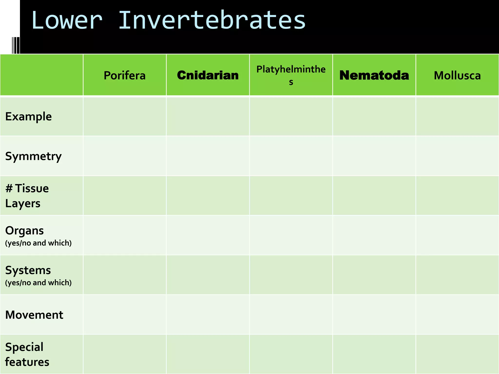 Invertebrate review chart | PPTX