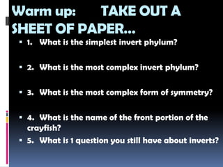 Invertebrate review chart | PPT