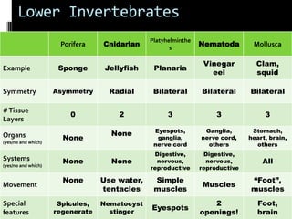 Invertebrate review chart | PPT