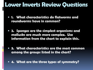 Invertebrate review chart | PPT