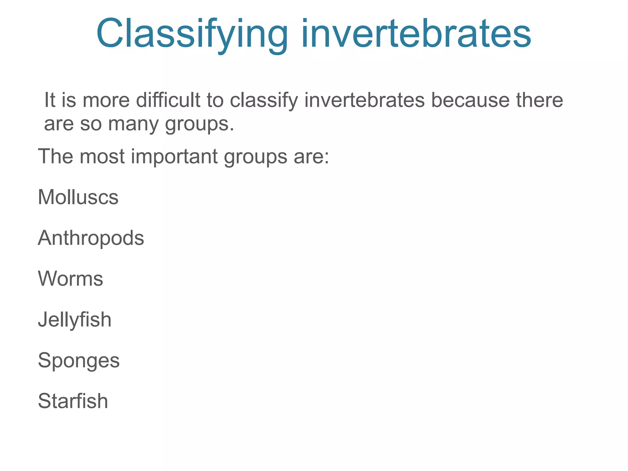 Invertebrates | ODP