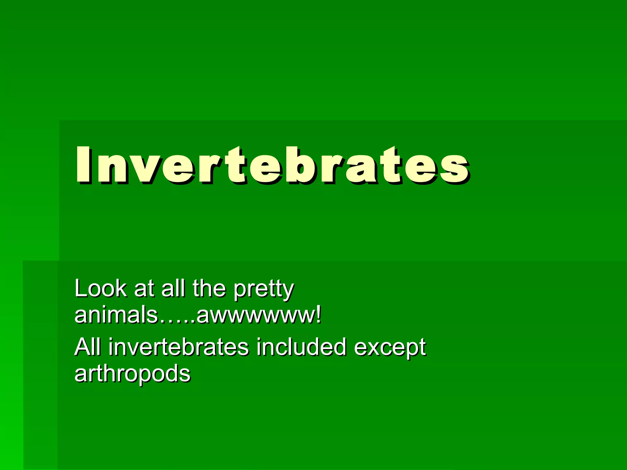 Invertebrates | PPT