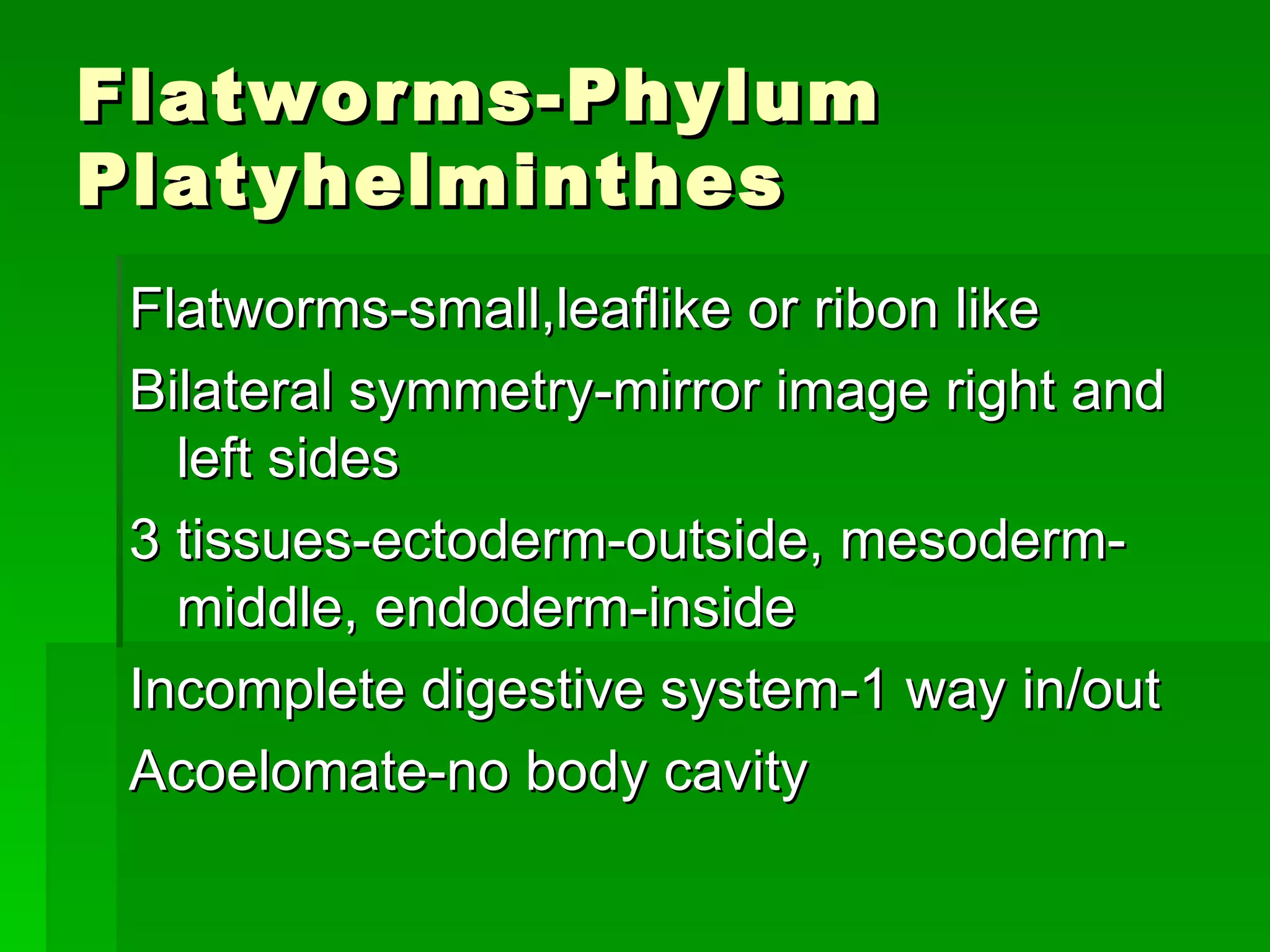 Invertebrates | PPT