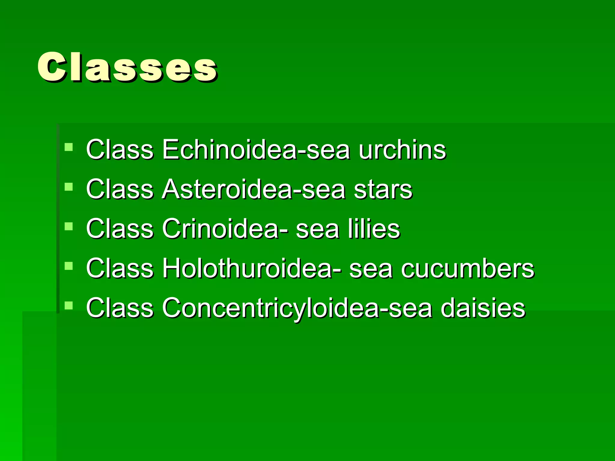 Invertebrates | PPT
