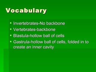 Invertebrates | PPT