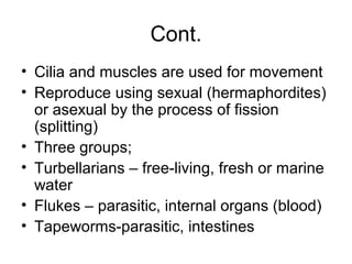 Invertebrates | PPT