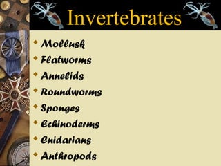 Invertebrates | PPT
