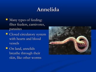 Invertebrates | PPT