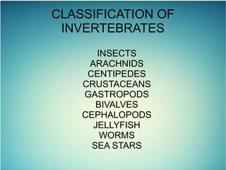 Invertebrates | ODP