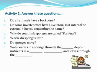 Invertebrates | PDF