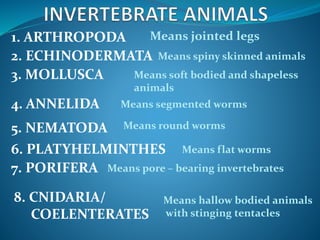 Invertebrates | PPTX
