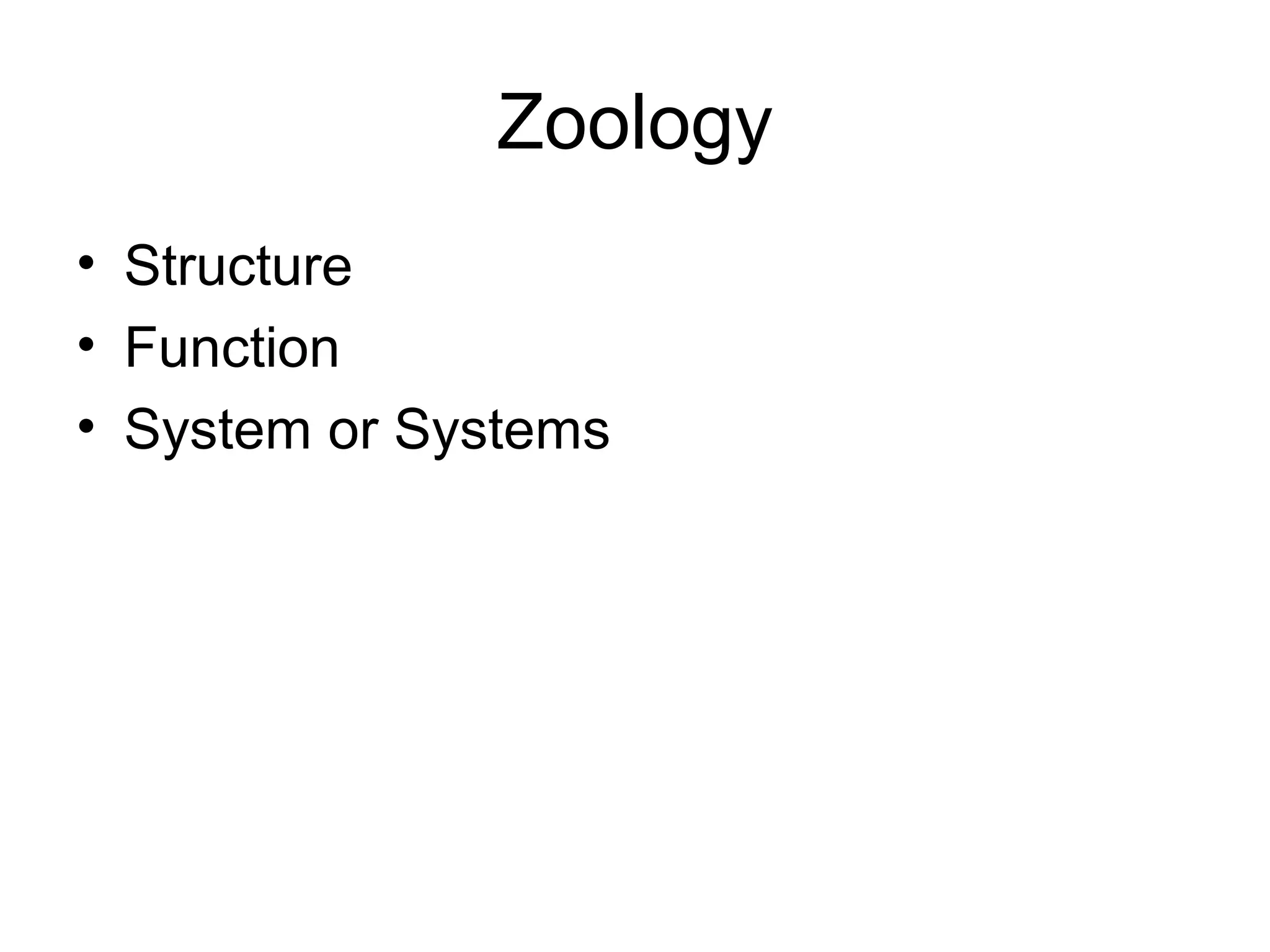 Invertebrates | PPT