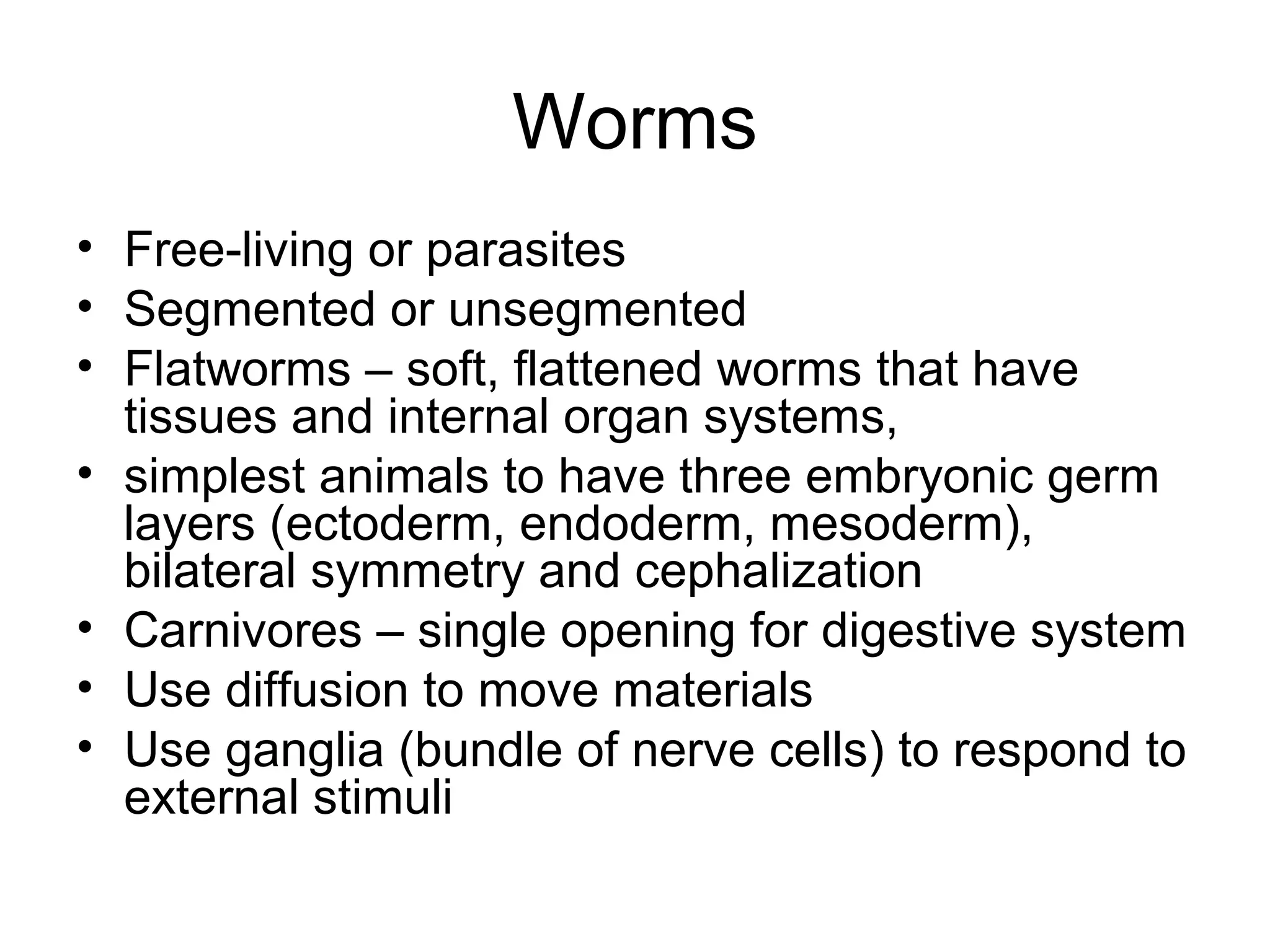 Invertebrates | PPT