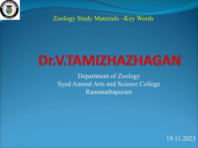 Zoology Study - Invertebrates | PPT | Reptiles | Pets