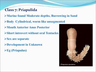 Zoology Study - Invertebrates | PPT