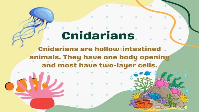 INVERTEBRATES.pptx | Biological Sciences | Science