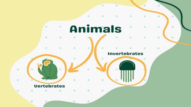 INVERTEBRATES.pptx | Biological Sciences | Science