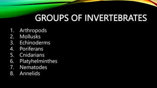 INVERTEBRATES.pptx | Biological Sciences | Science