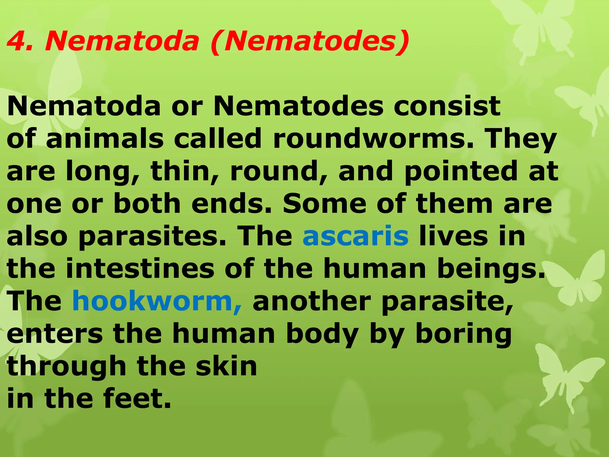 SCIENCE INVERTEBRATES ANIMALS TOPIC FOR GRADE SIX PUPILS | PPTX