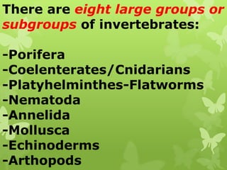 SCIENCE INVERTEBRATES ANIMALS TOPIC FOR GRADE SIX PUPILS | PPTX