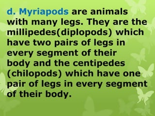 SCIENCE INVERTEBRATES ANIMALS TOPIC FOR GRADE SIX PUPILS | PPTX