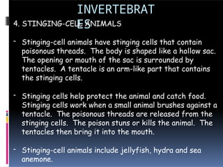 Invertebrates (Primary School) PowerPoint Presentation | PPT