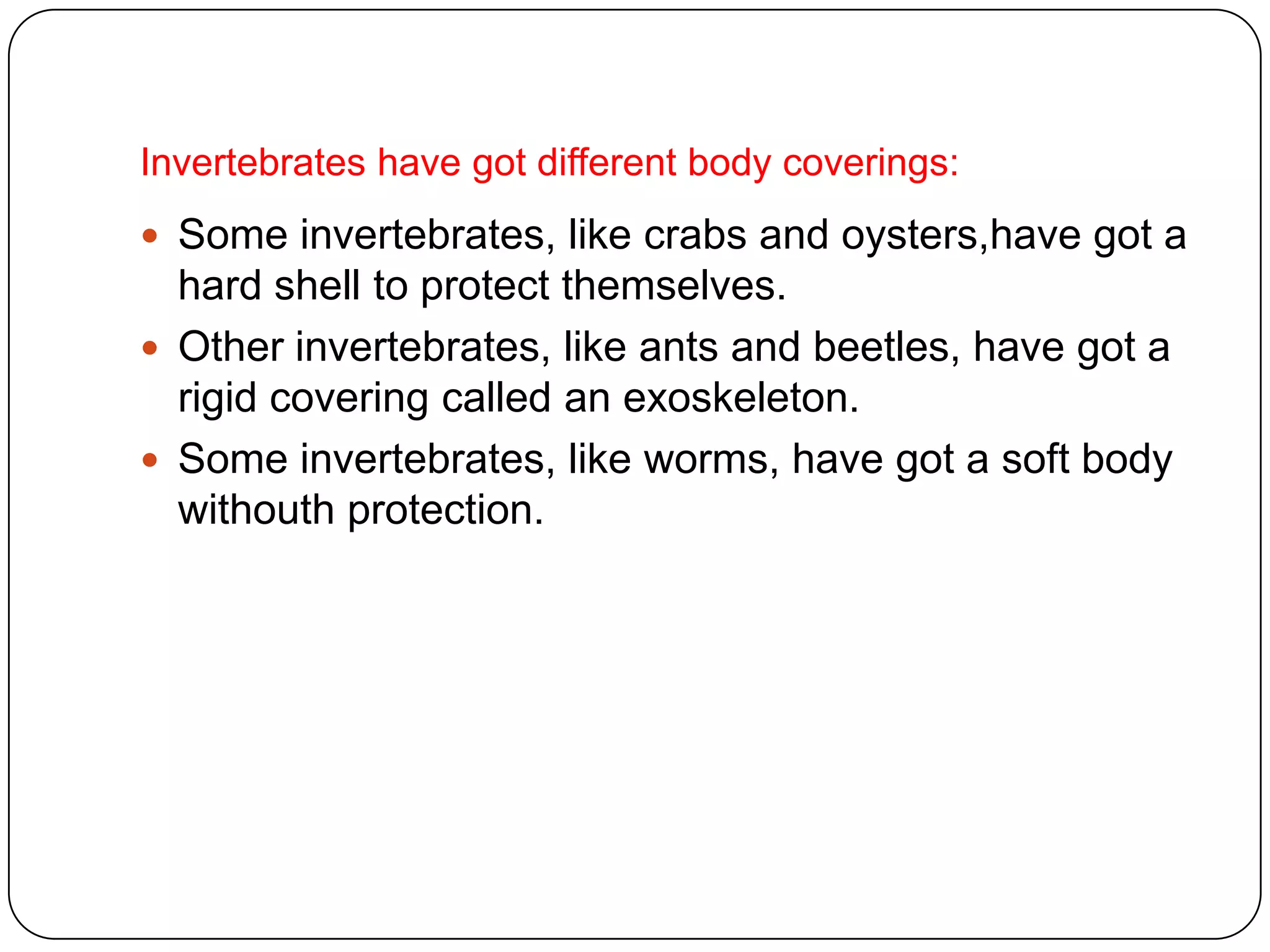 Invertebrates alvaro | PPTX