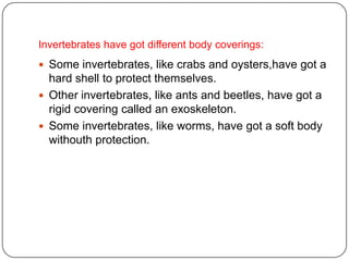 Invertebrates alvaro | PPTX