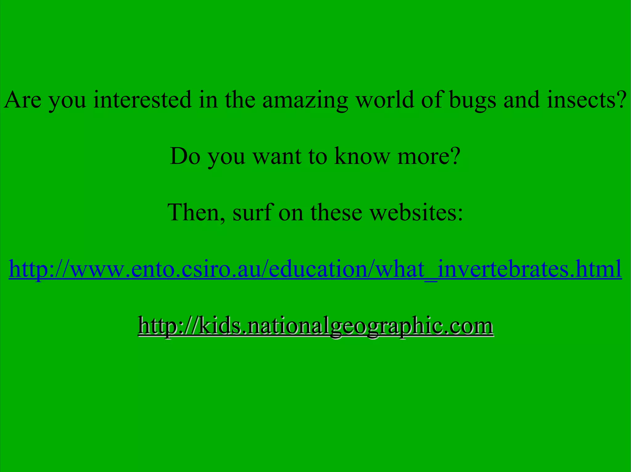 Insects & bugs | ODP