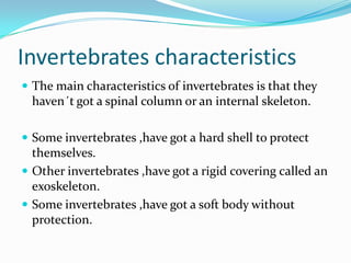 Invertebrates juanje | PPTX