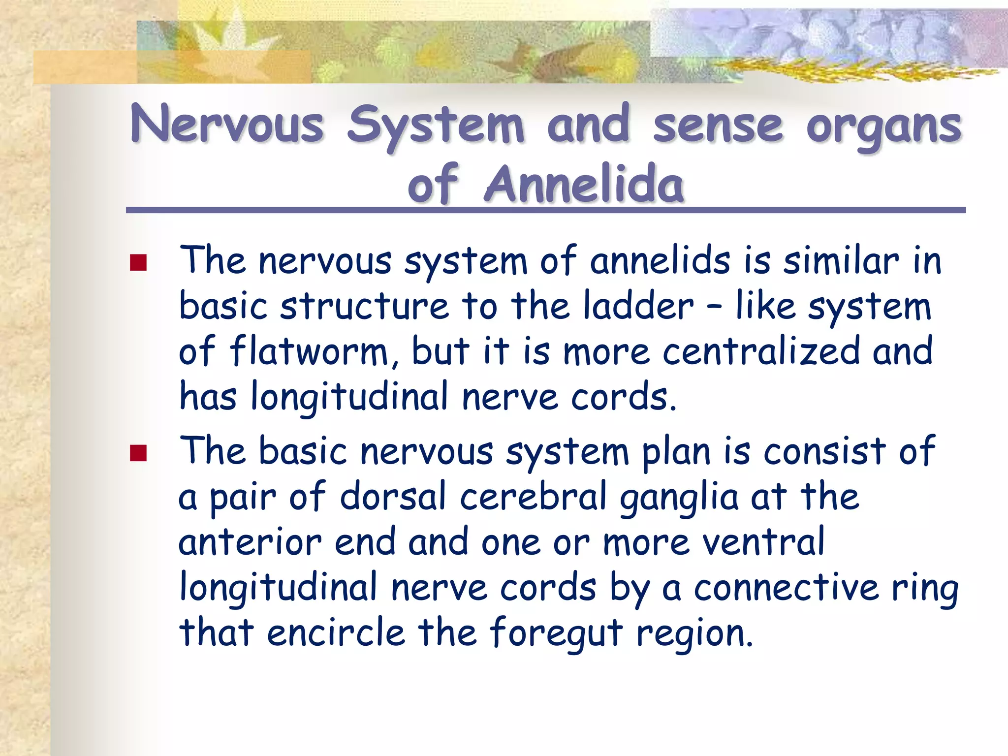 Invertebrates nervous-system-by-resty-samosa | PPTX