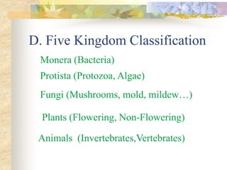 Invertebrates2006 | PPT